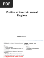 Insect Head Types: Hypognathous, Prognathous, Opisthognathous | PDF