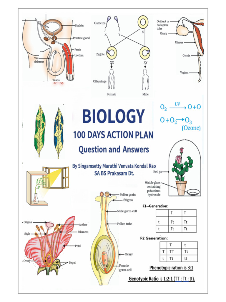 10 Biology Level 1 & 2 | PDF