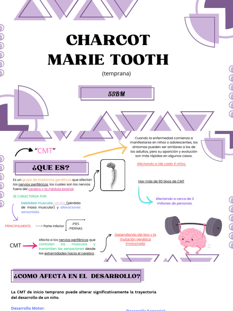 Charcot Marie Tooth | PDF | Escoliosis | Nervio