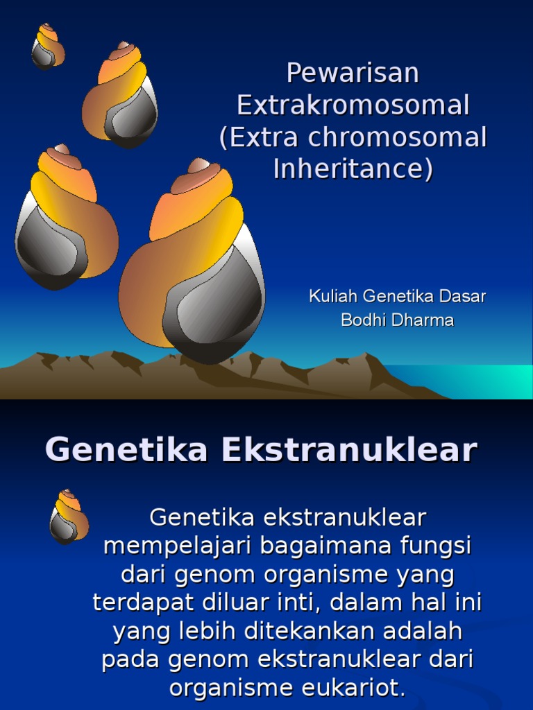 Extrachromosomal Inheritance | PDF