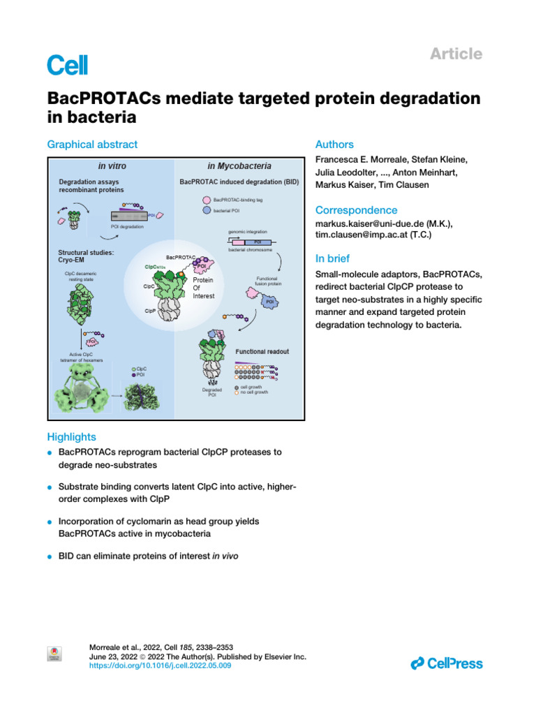 BacPROTACs: Targeted Protein Degradation in Bacteria | PDF | Structural ...