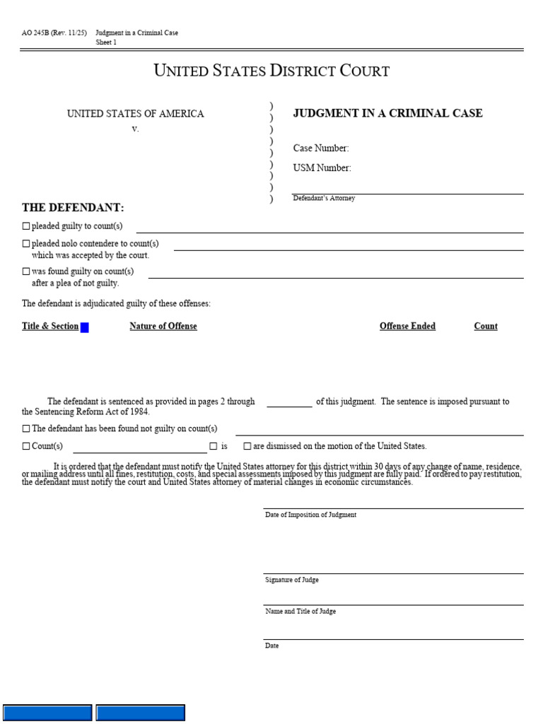 Criminal Case Judgment Document | PDF | United States Federal Probation ...