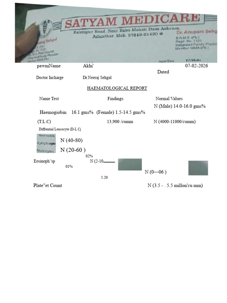 Detailed Haematological Report Analysis | PDF | Hematology | Tissue ...