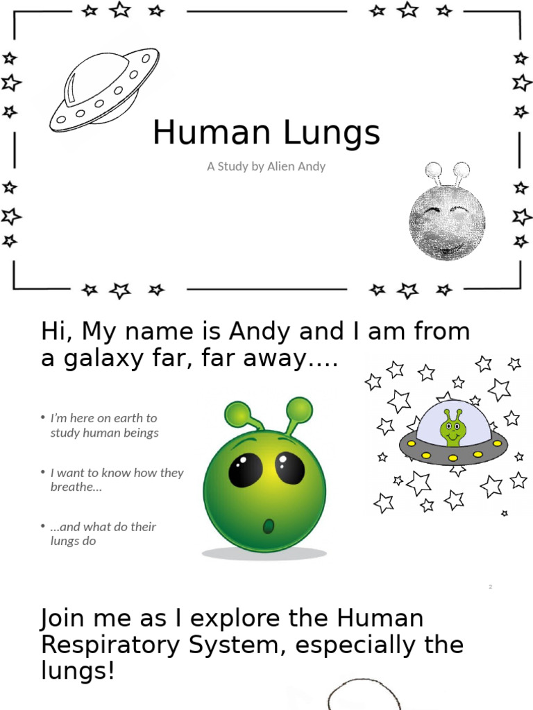 Human Lungs | PDF | Respiratory Tract | Lung