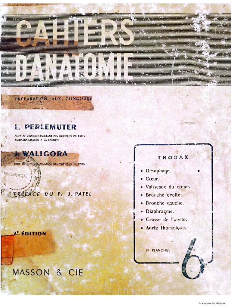 Cahier d'Anatomie Tome 6 Thorax | PDF