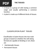 Anatomy of Flowering Plant Tissues | PDF | Anatomy | Plants