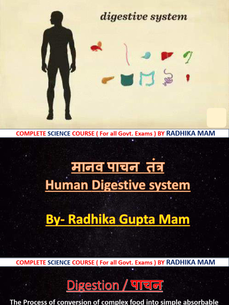 DIGESTIVE SYSTEM 01 (Class Notes) | PDF