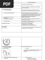 Types of Incisions | PDF | Abdomen | Anatomy
