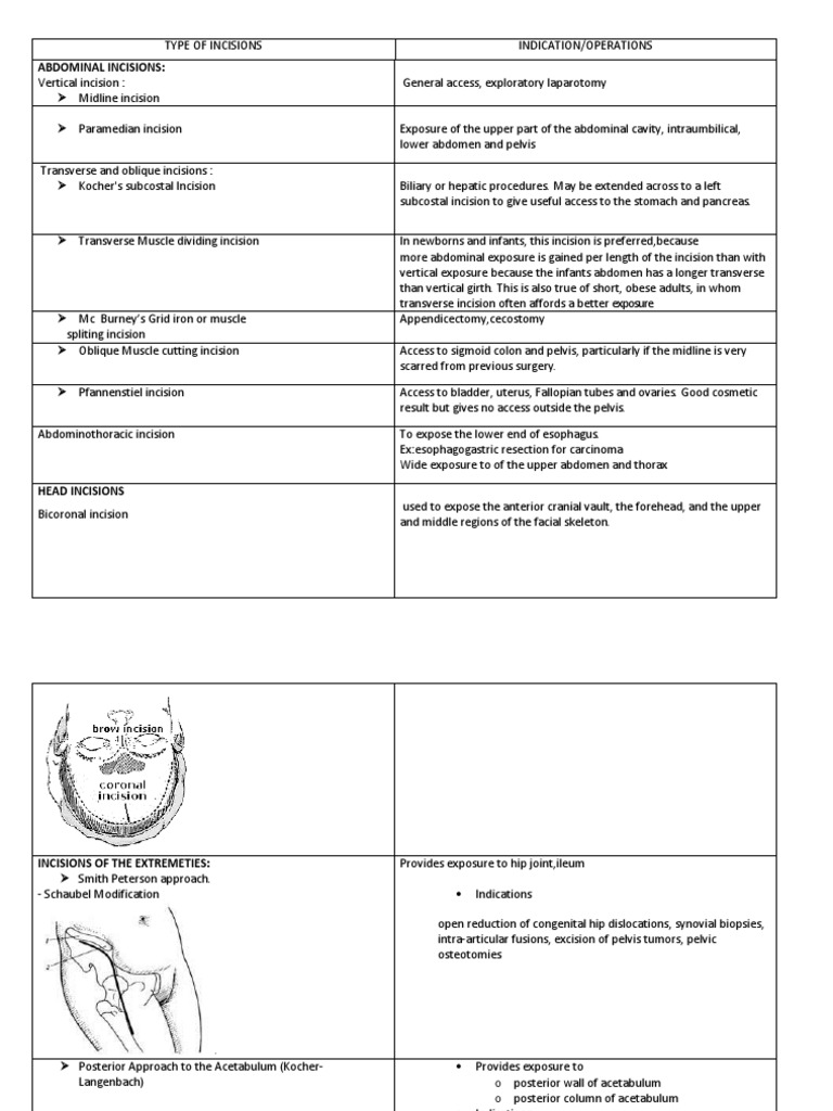 Type of Incisions | PDF | Abdomen | Vertebral Column