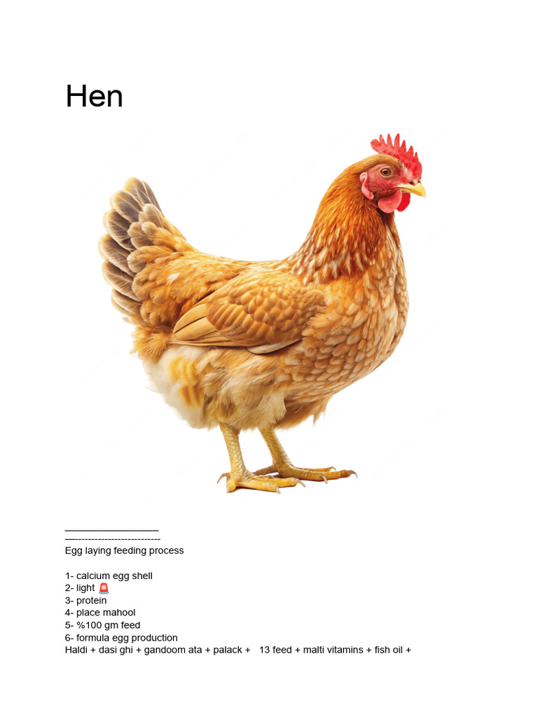 Untitled Document | PDF