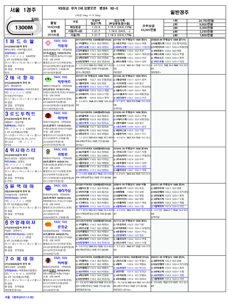 s_run_hr_251228_all | PDF