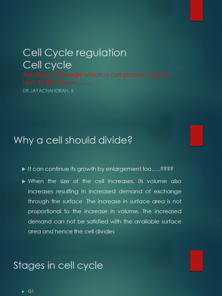 Cell Cycle Regulation and Checkpoints | PDF | Cell Cycle | Biochemistry