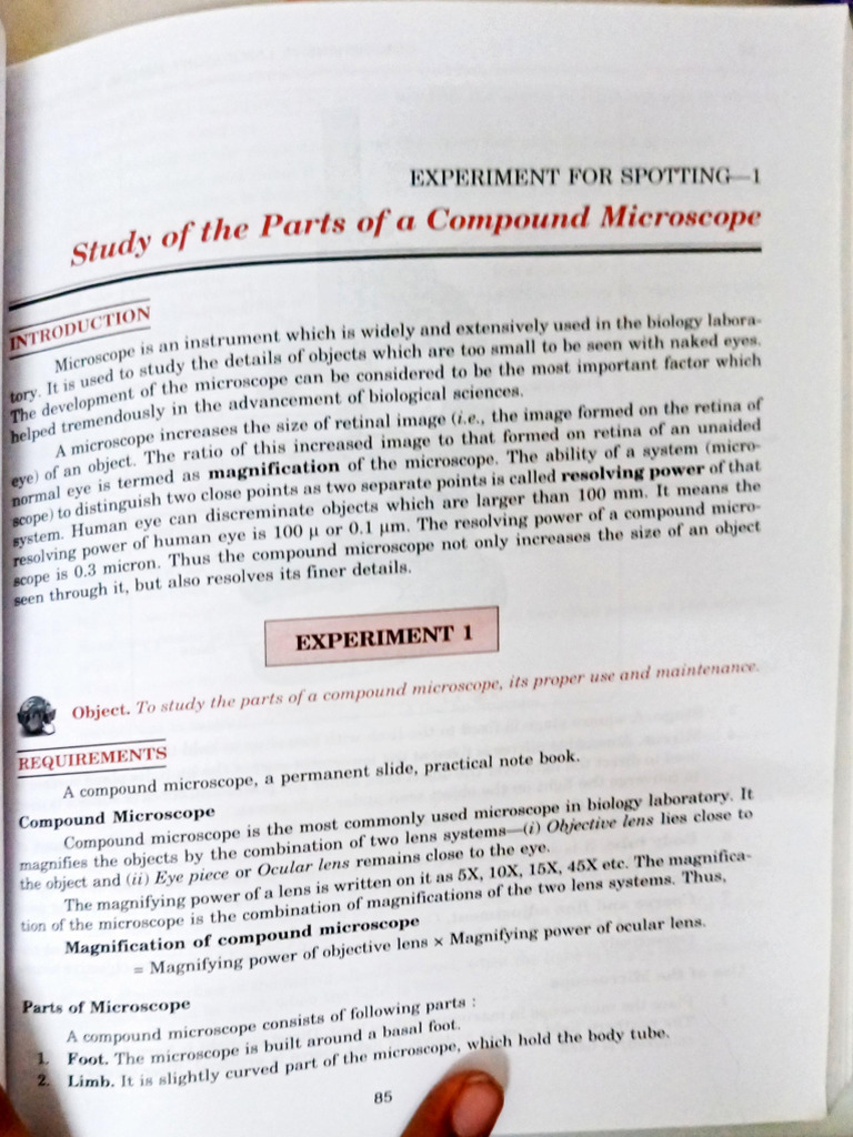 Bio Experiment 1 | PDF