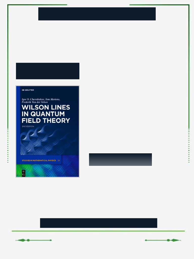 Wilson Lines in Quantum Field Theory 2nd Edition Igor Olegovich ...