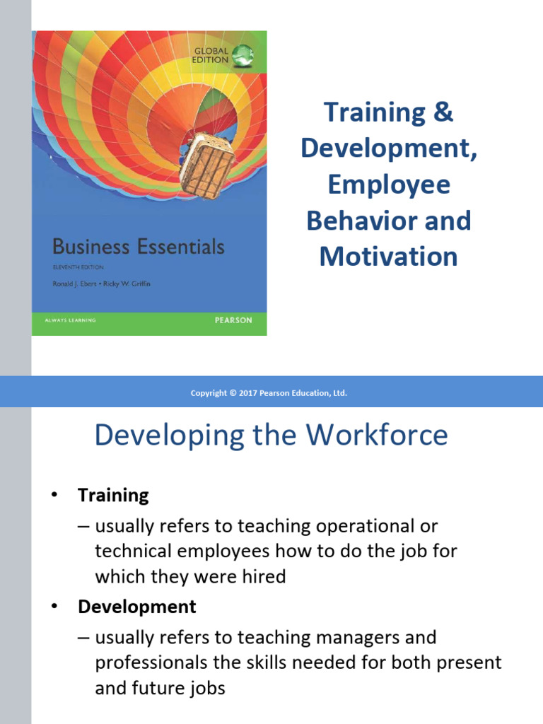Employee Training and Motivation Strategies | PDF | Emotional ...
