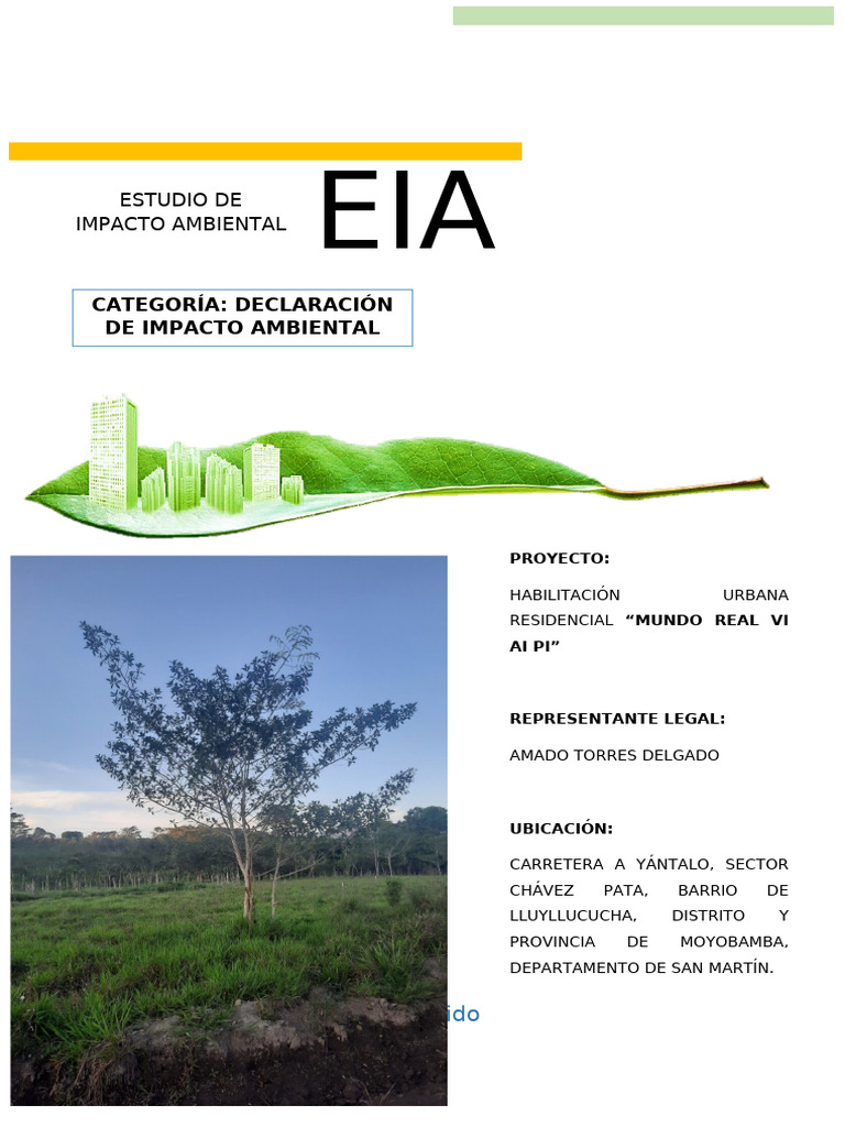 Estudio de Impacto Ambiental-dia (Mundo Real Vi Ai Pi) | PDF ...
