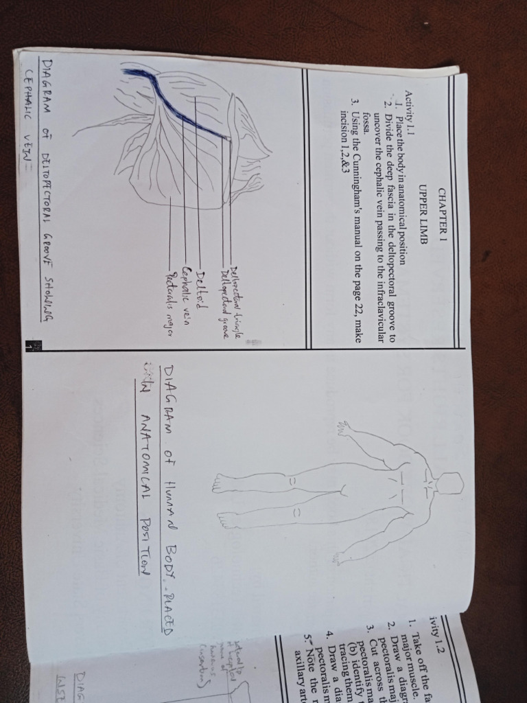 Gross Manual | PDF