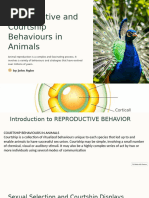 Courtship Behaviors in Animals Explained | PDF | Male | Behavior