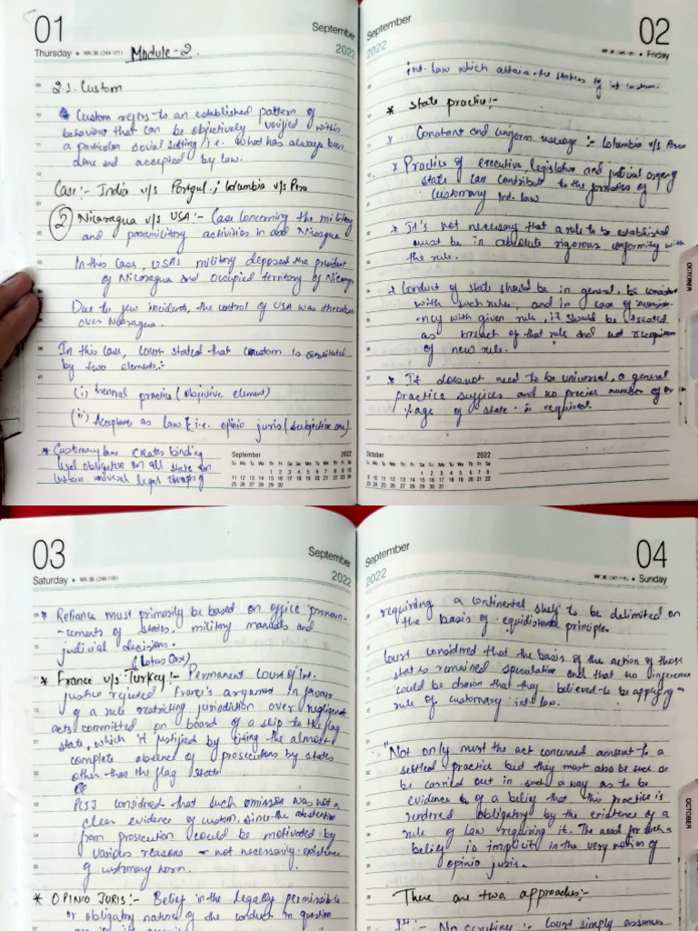 Pil Self Notes | PDF