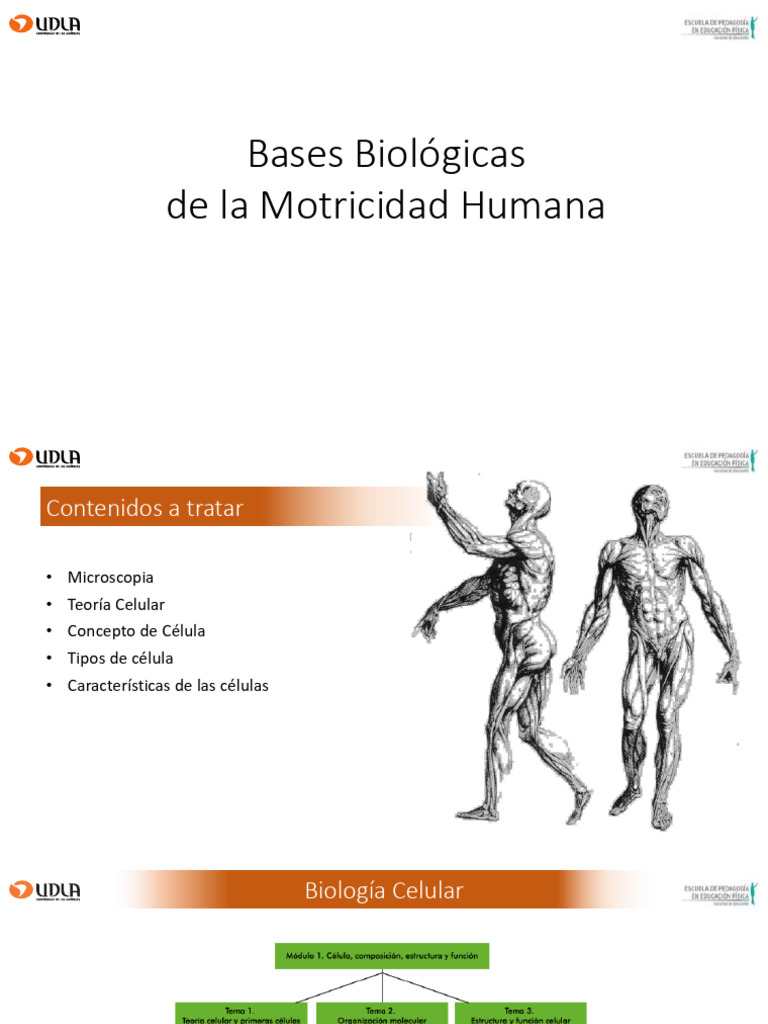 Clase 1, Teoría Celular | PDF | Citoplasma | Biología Celular)