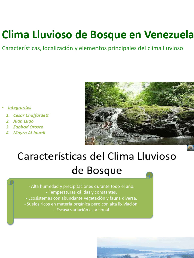 Clima Lluvioso de Bosque en Venezuela: Características, Localización y ...