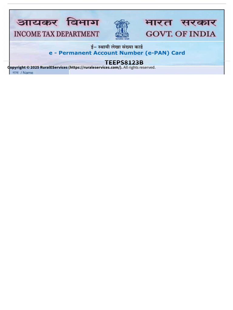 Rural e Services | PDF
