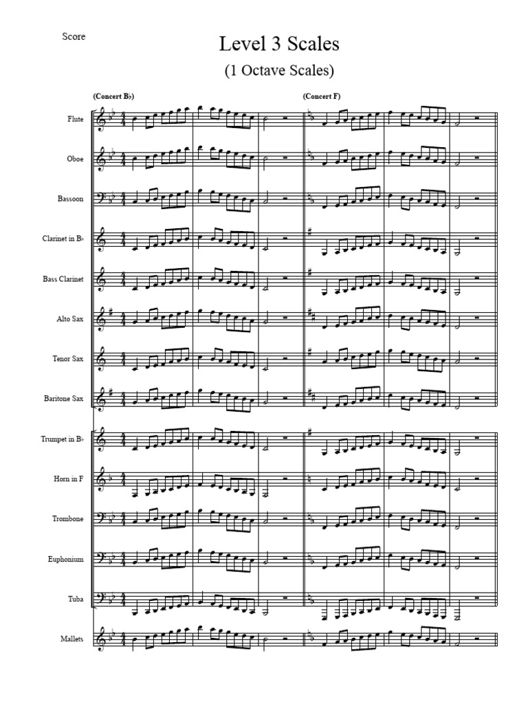 Level 3 Scales - Score | PDF