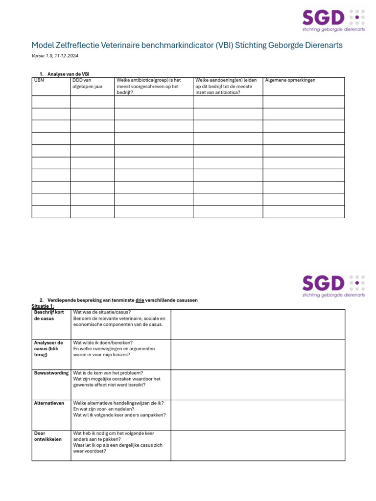 Vbi Zelfreflectie Format | PDF