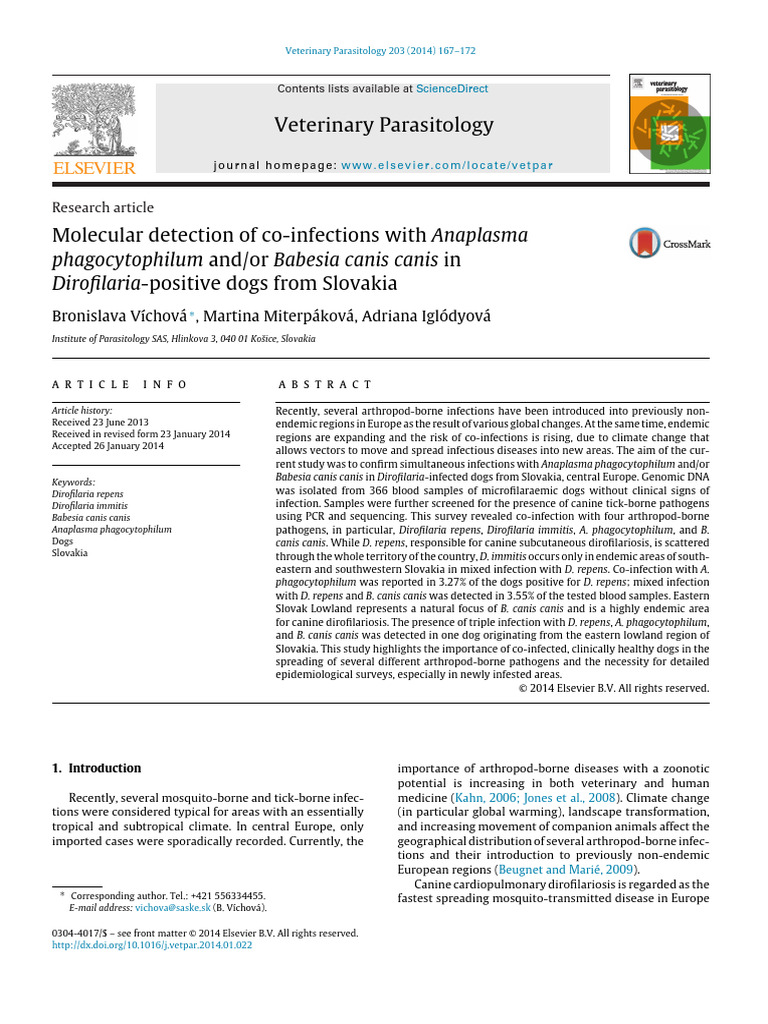 Co-Infections in Dirofilaria-Positive Dogs | PDF | Polymerase Chain ...
