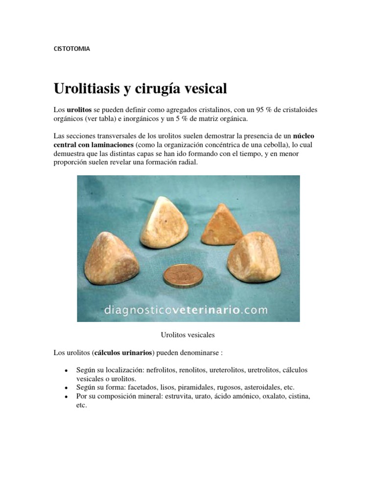 CISTOTOMIA | PDF | Vejiga urinaria | Especialidades Medicas