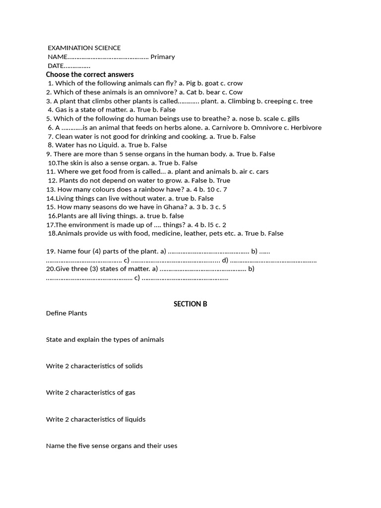 Primary Science Examination Questions | PDF