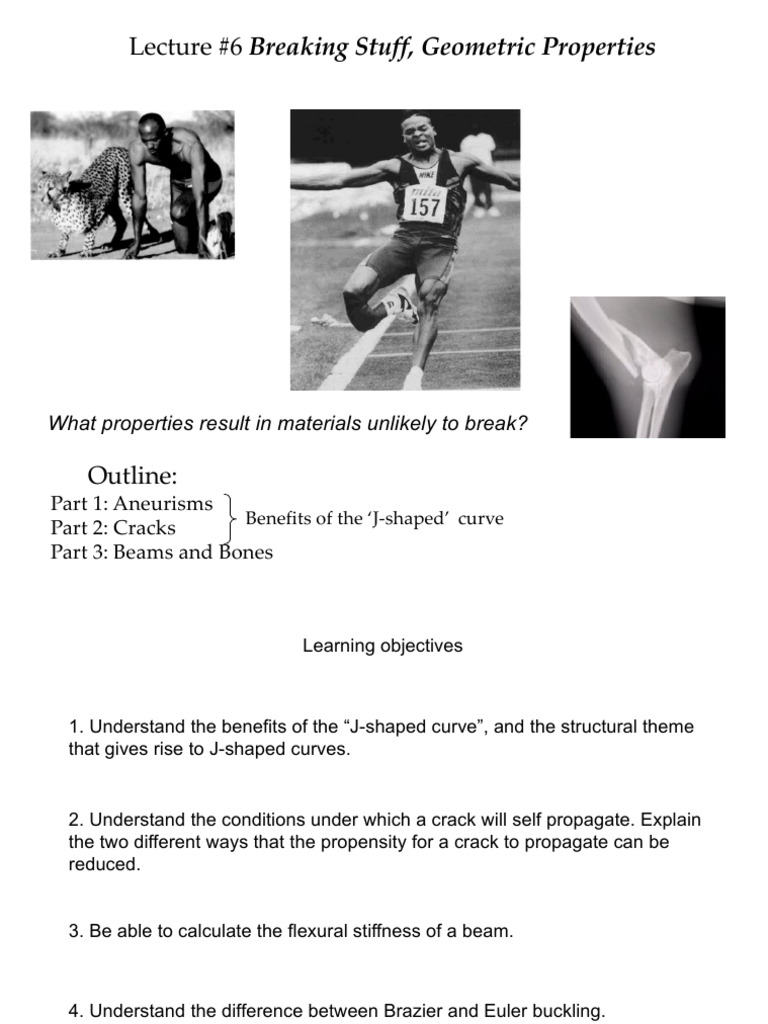 ME411 6 Breaking Stuff Beams Bones | PDF | Fracture | Beam (Structure)
