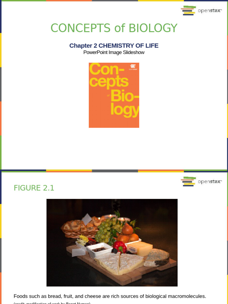 Chemistry of Life: Biological Macromolecules | PDF | Chemical Polarity ...