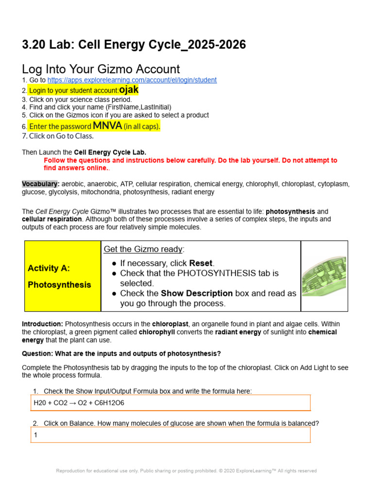 Cell Energy Cycle Lab Instructions | PDF | Cellular Respiration ...