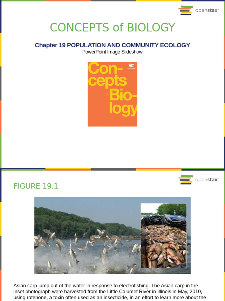 Population and Community Ecology Insights | PDF | Mimicry | Logistic ...