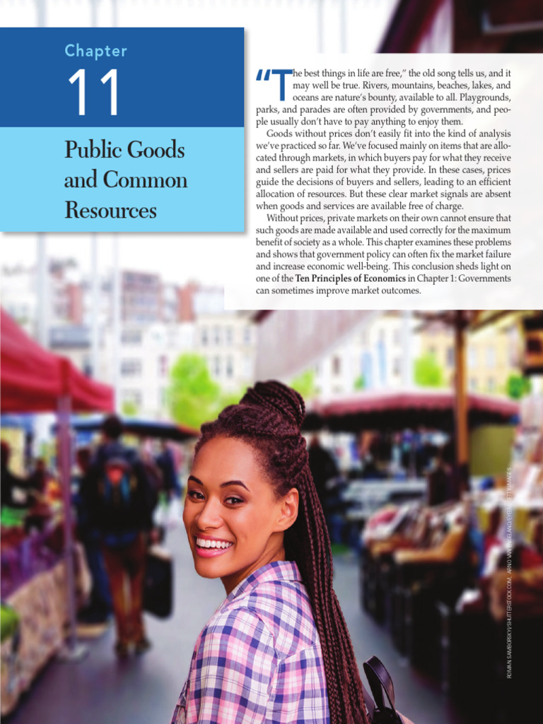 Understanding Public Goods and Resources | PDF | Public Good | Goods