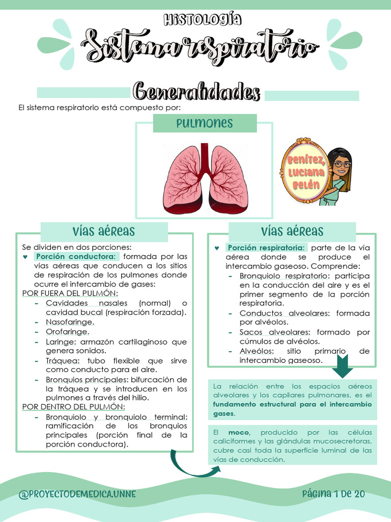 Histologia_Sistema_respiratorio Ross | PDF | Epitelio | Laringe