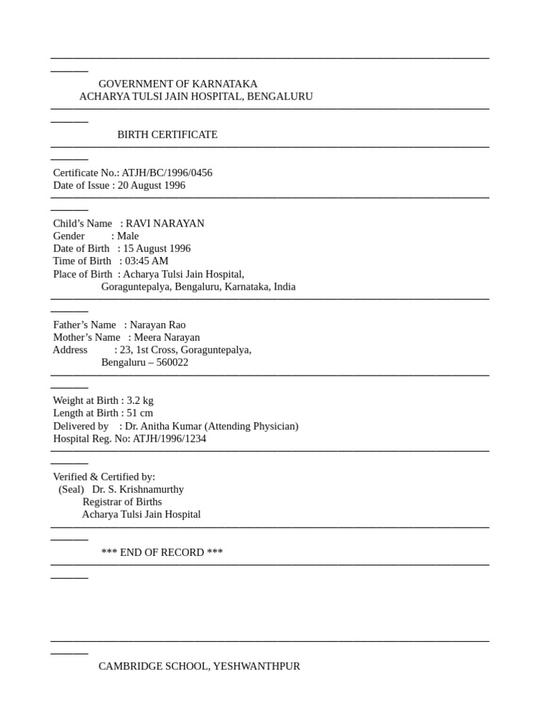 Ravi Narayan's Academic and Employment Records | PDF