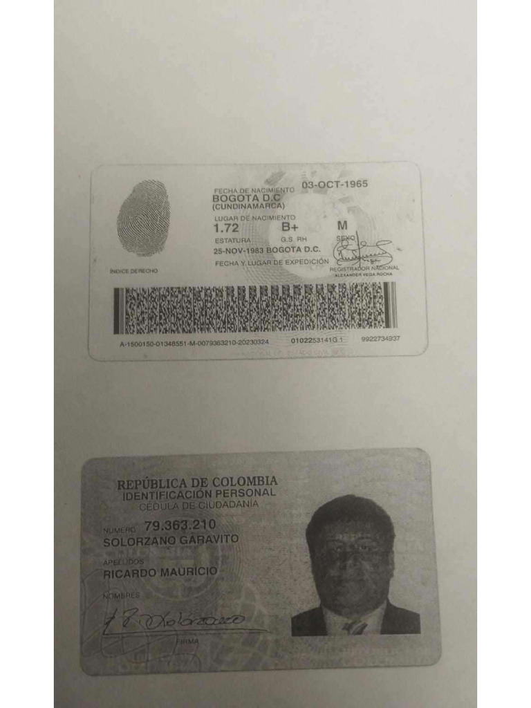 Cedula Una Pag. Ajustada Sigep | PDF