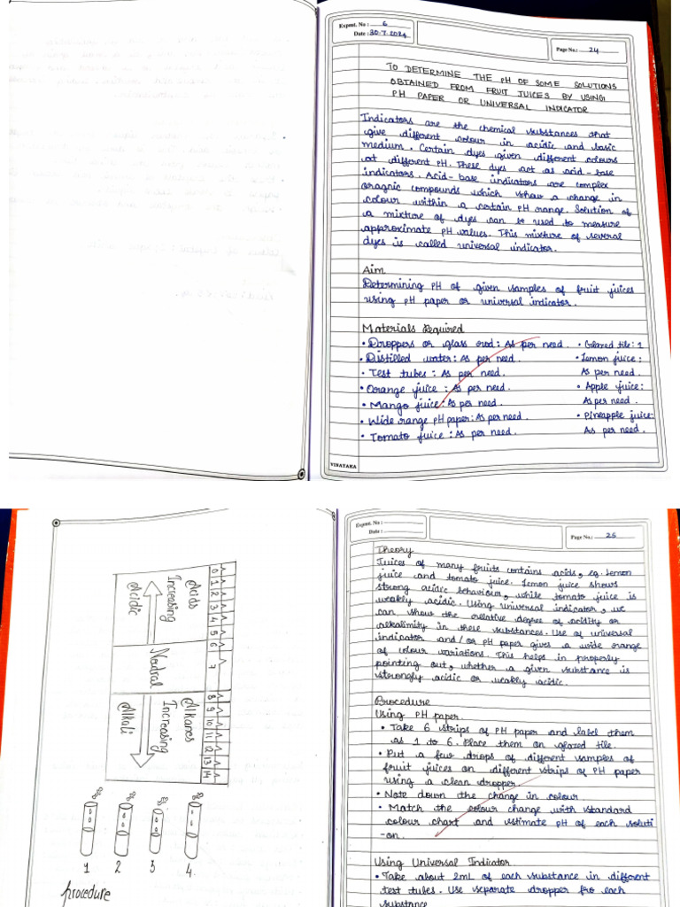 Class 11th Record Note For Chemistry ? | PDF