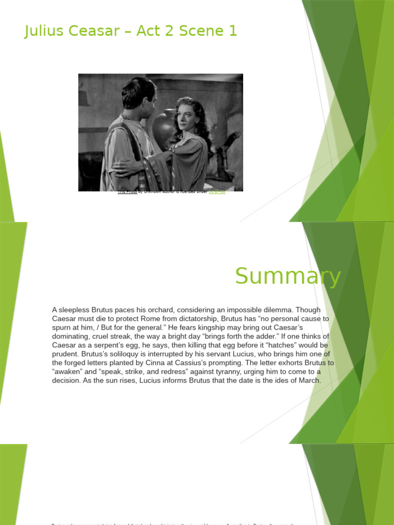 Brutus's Dilemma in Julius Caesar Act 2 | PDF | Julius Caesar | Mark Antony