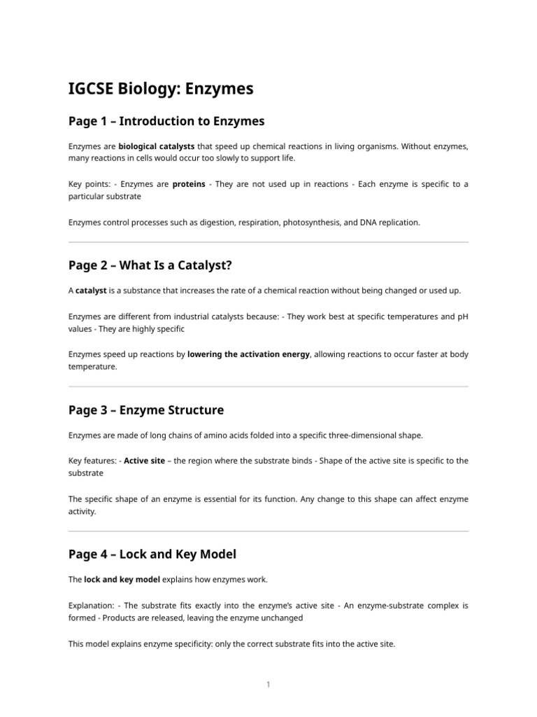 Igcse Biology - Enzymes | PDF | Enzyme | Active Site