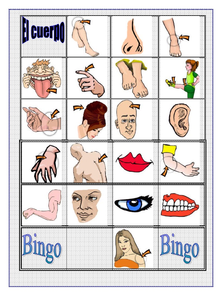 Bingo - Partes Del Cuerpo | Бесплатное скачивание PDF - patagonland.cl