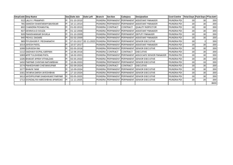 Employee Records for Mundra PDI | PDF