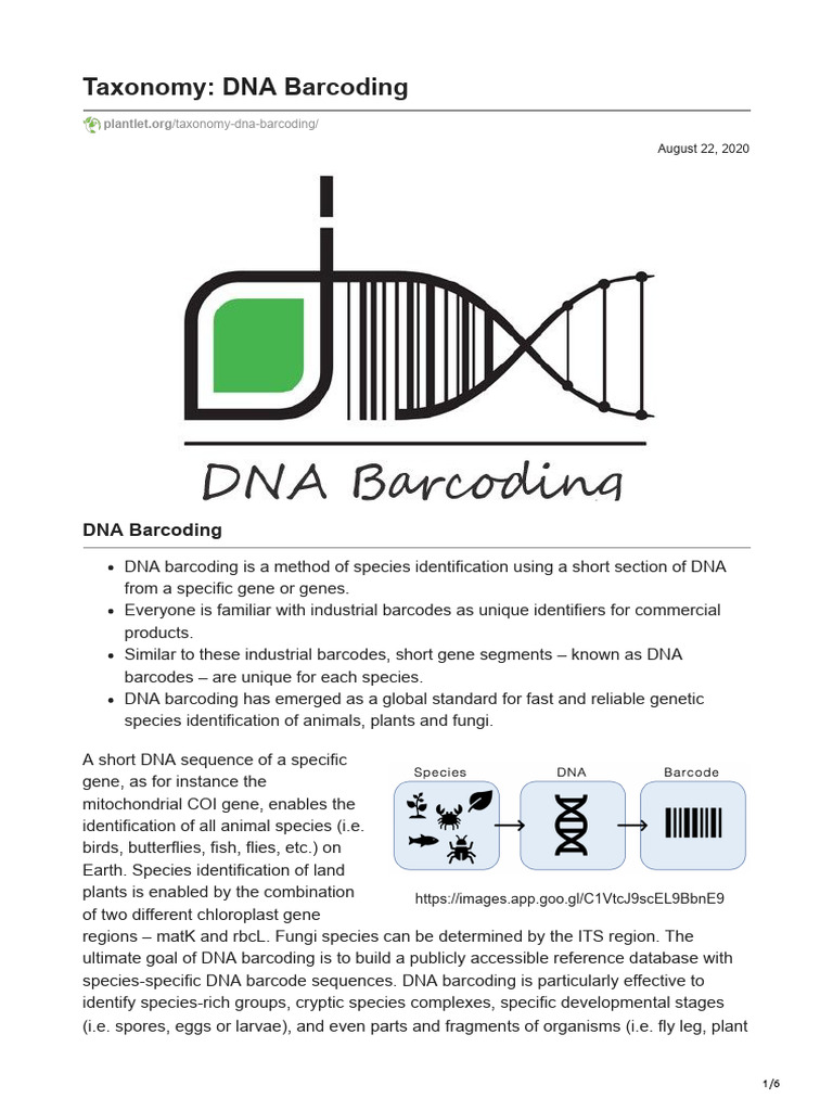 DNA Barcoding: Species Identification Guide | PDF | Species | Biochemistry