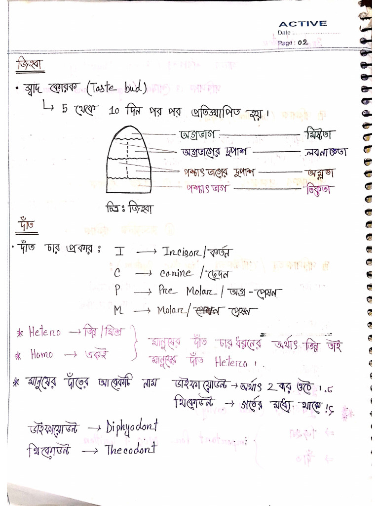 Class Notes | PDF