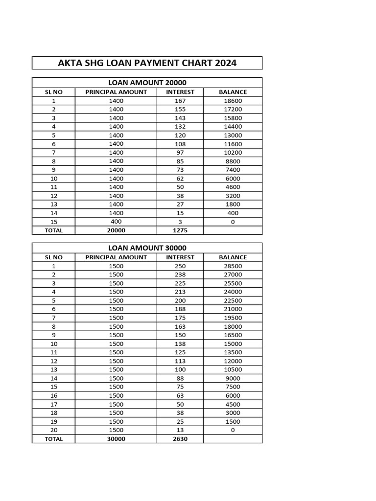 2024 Loan Payment Schedule Summary | PDF | Financial Accounting | Property
