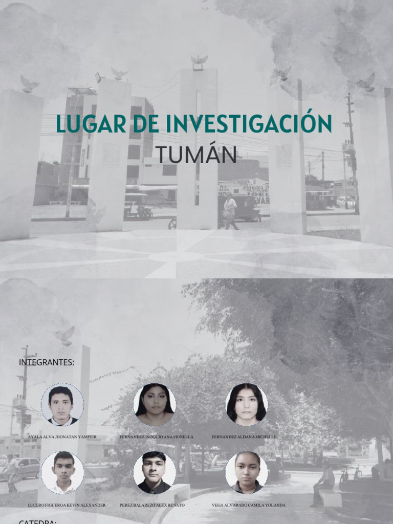 Analisis Del Sector_compress | PDF | Peatonal | Encendiendo