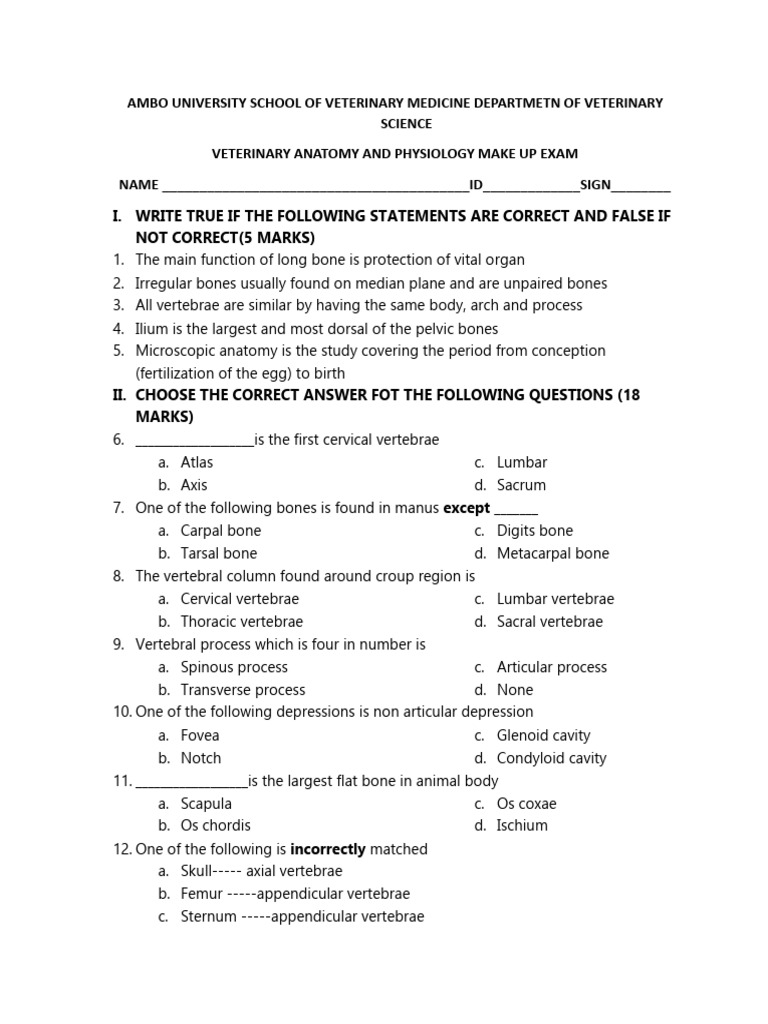 Anatomy Make Up Test | PDF