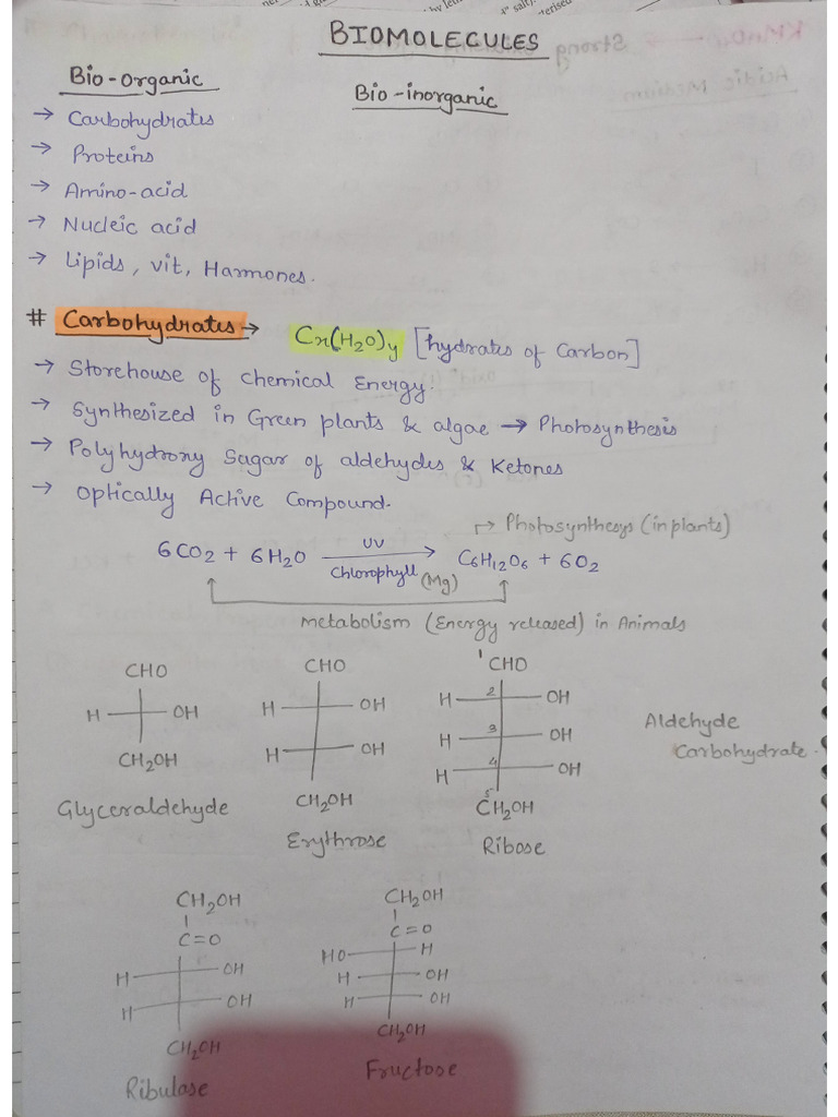 Biomolecules Notes | PDF